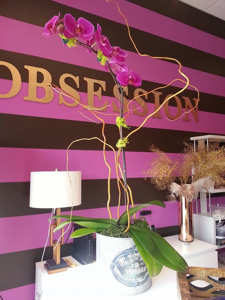 Why Obsession? – Le Obsession Boutique